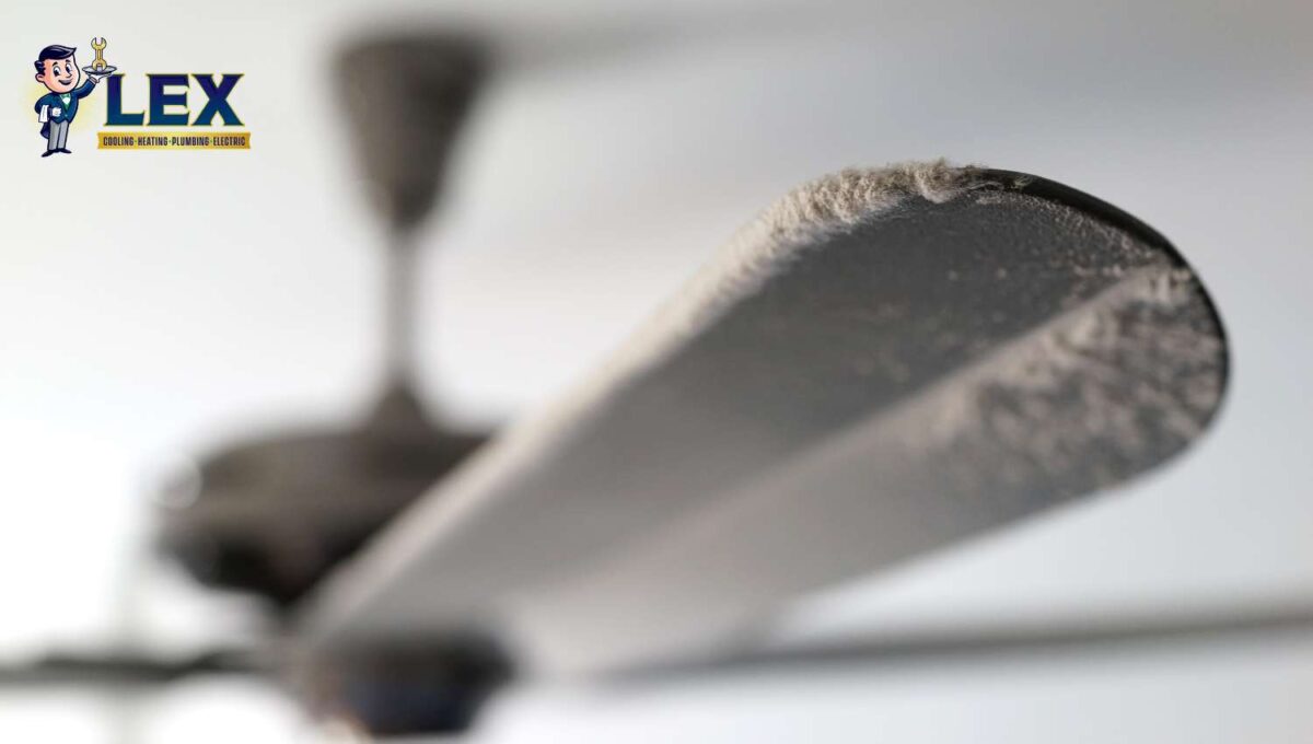 Why is My House So Dusty? | Causes of Dust & How To Address It